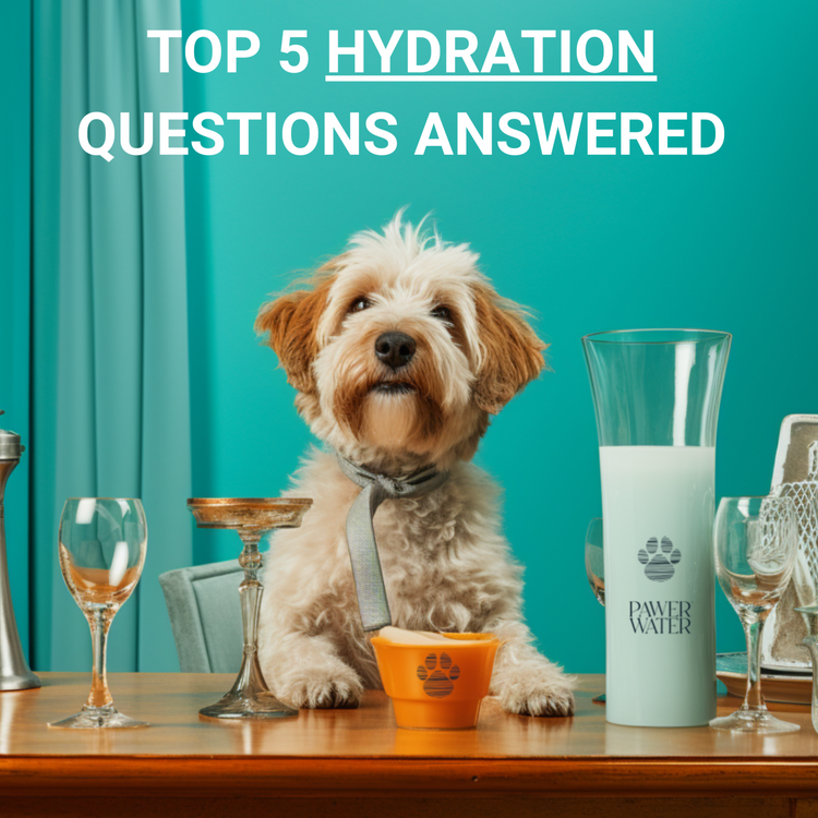 The Pawer of Hydration – Pawer Water